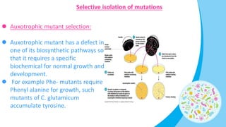 preservation, maintanence and improvement of industrial organism.pptx