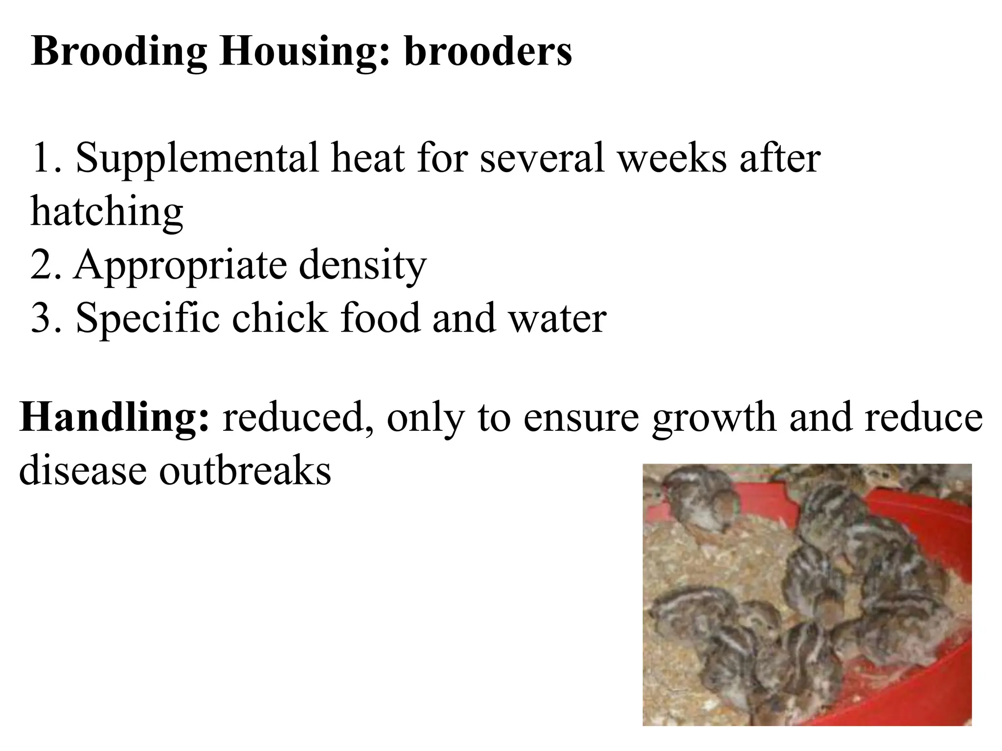 preservation of animals. Theory class.ppt