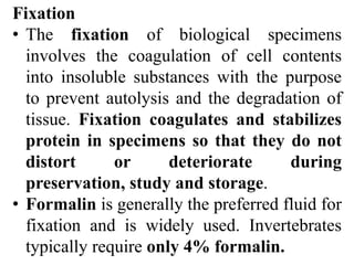 preservation of animals. Theory class.ppt