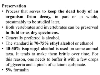 preservation of animals. Theory class.ppt