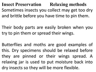 preservation of animals. Theory class.ppt