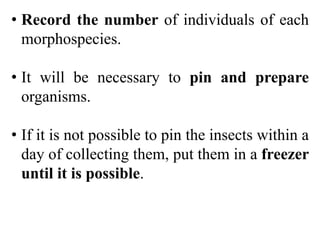preservation of animals. Theory class.ppt
