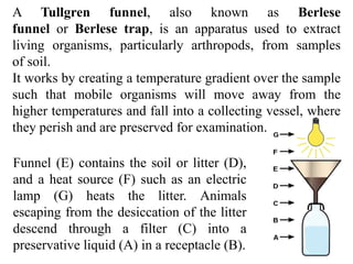preservation of animals. Theory class.ppt
