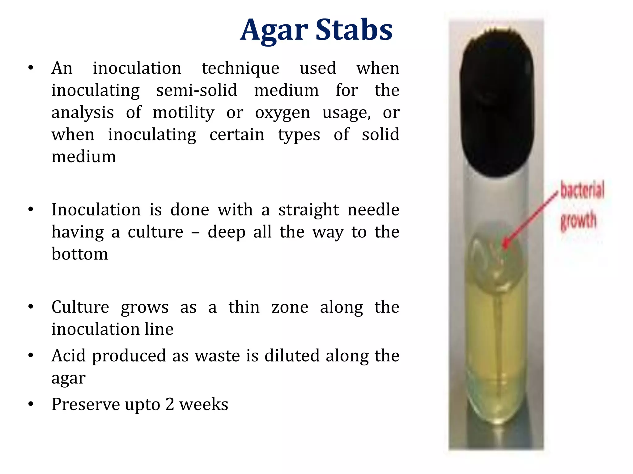 Preservation of bacteria | PDF