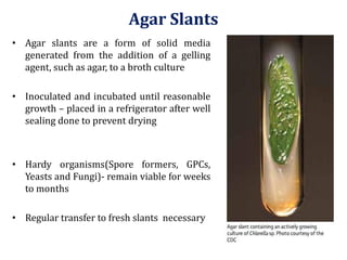 Preservation of bacteria | PDF