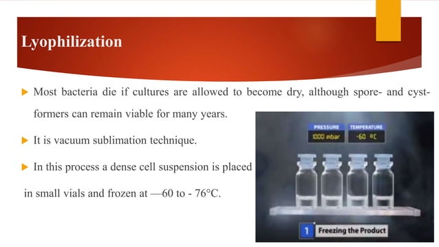 Preservation of bacteria for long term | PPTX | Chemistry | Science