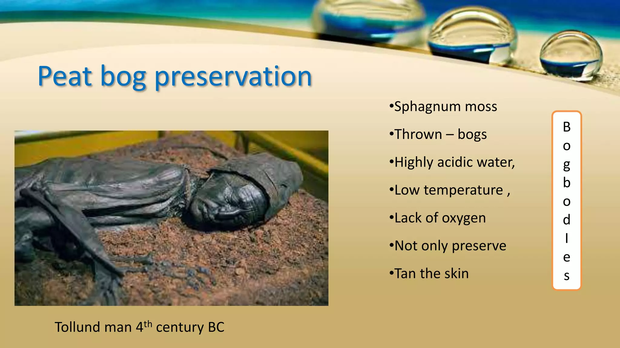 Preservation of dead body | PPTX