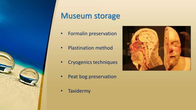 Preservation of dead body | PPTX | Infectious Diseases | Diseases and ...