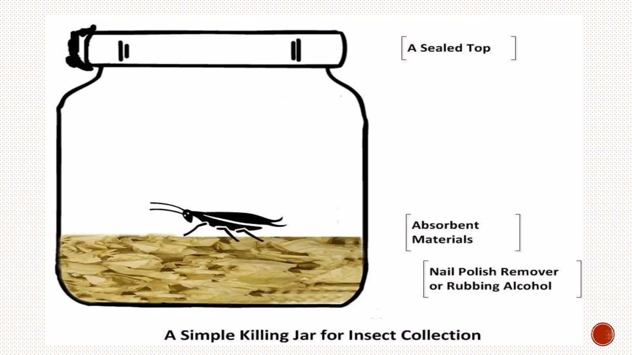 Preservation of dry specimens | PPTX