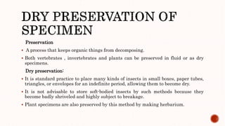 Preservation of dry specimens | PPTX
