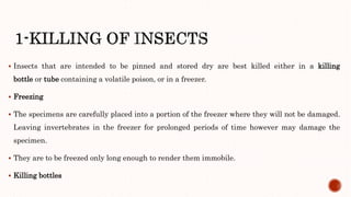 Preservation of dry specimens | PPTX