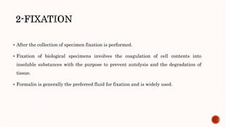Preservation of dry specimens | PPTX