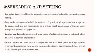 Preservation of dry specimens | PPTX