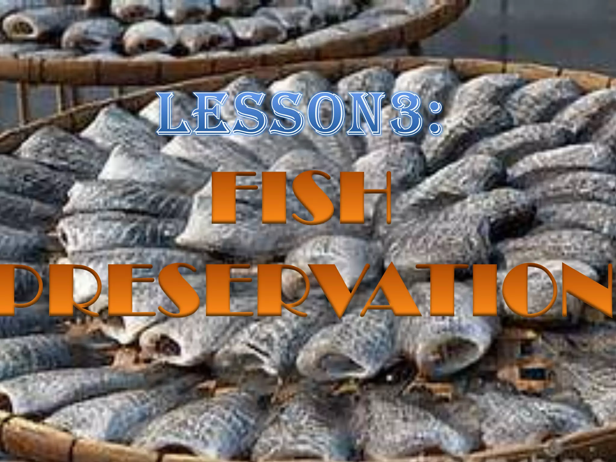 Preservation of fish | PPTX