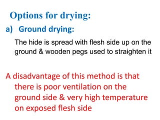 Preservation of hides | PPTX