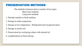 Preservation of microbes | PPTX