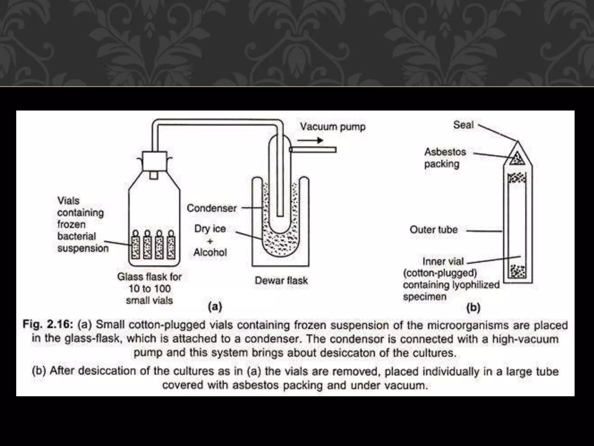Preservation of microbes and its types.pptx