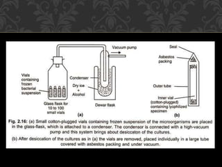 Preservation of microbes and its types.pptx