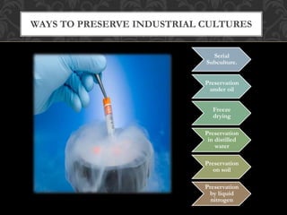 Preservation of microbes and its types.pptx