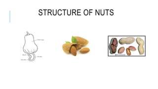 Preservation of Nuts | PPTX