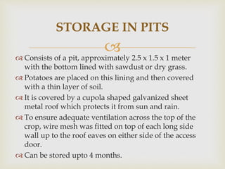Preservation of potato by various traditional methods. | PPTX