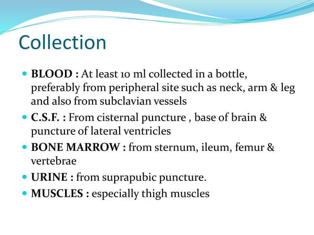 Preservation of viscera | PPTX | Chemistry | Science