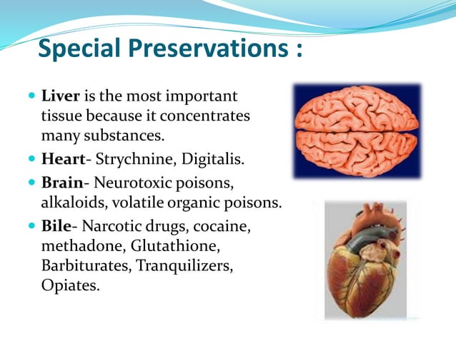 Preservation of viscera | PPTX | Chemistry | Science