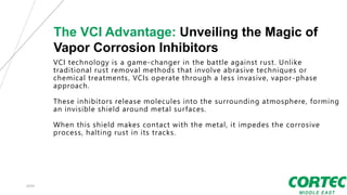 Preserving Foundations: VCI Rust Removal for Infrastructure | PPTX