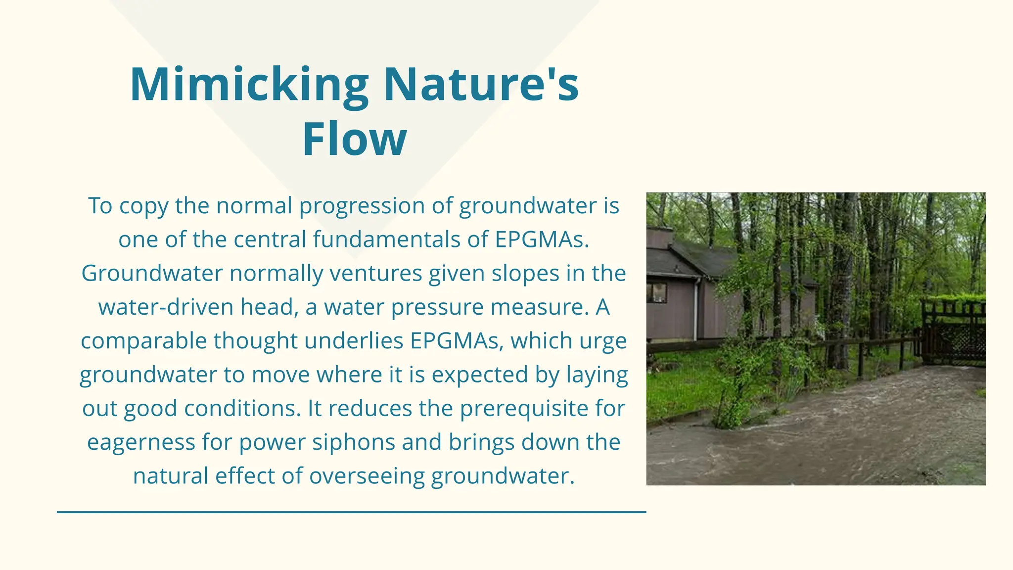 Preserving the World’s Most Precious Resource The Role of Environmental ...