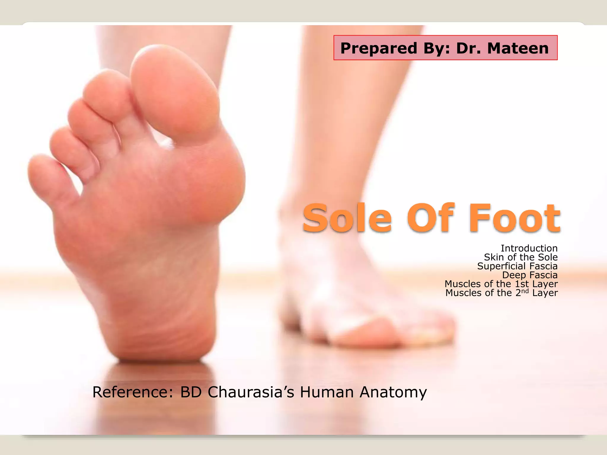 Sole of foot | PPTX