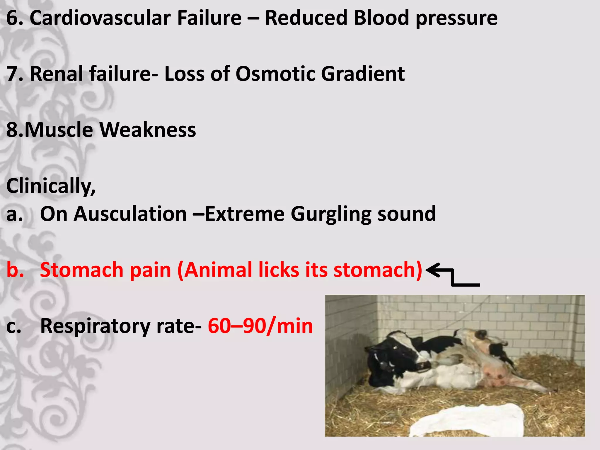 Presetation on rumen impaction lactic acidosis final osr | PPTX