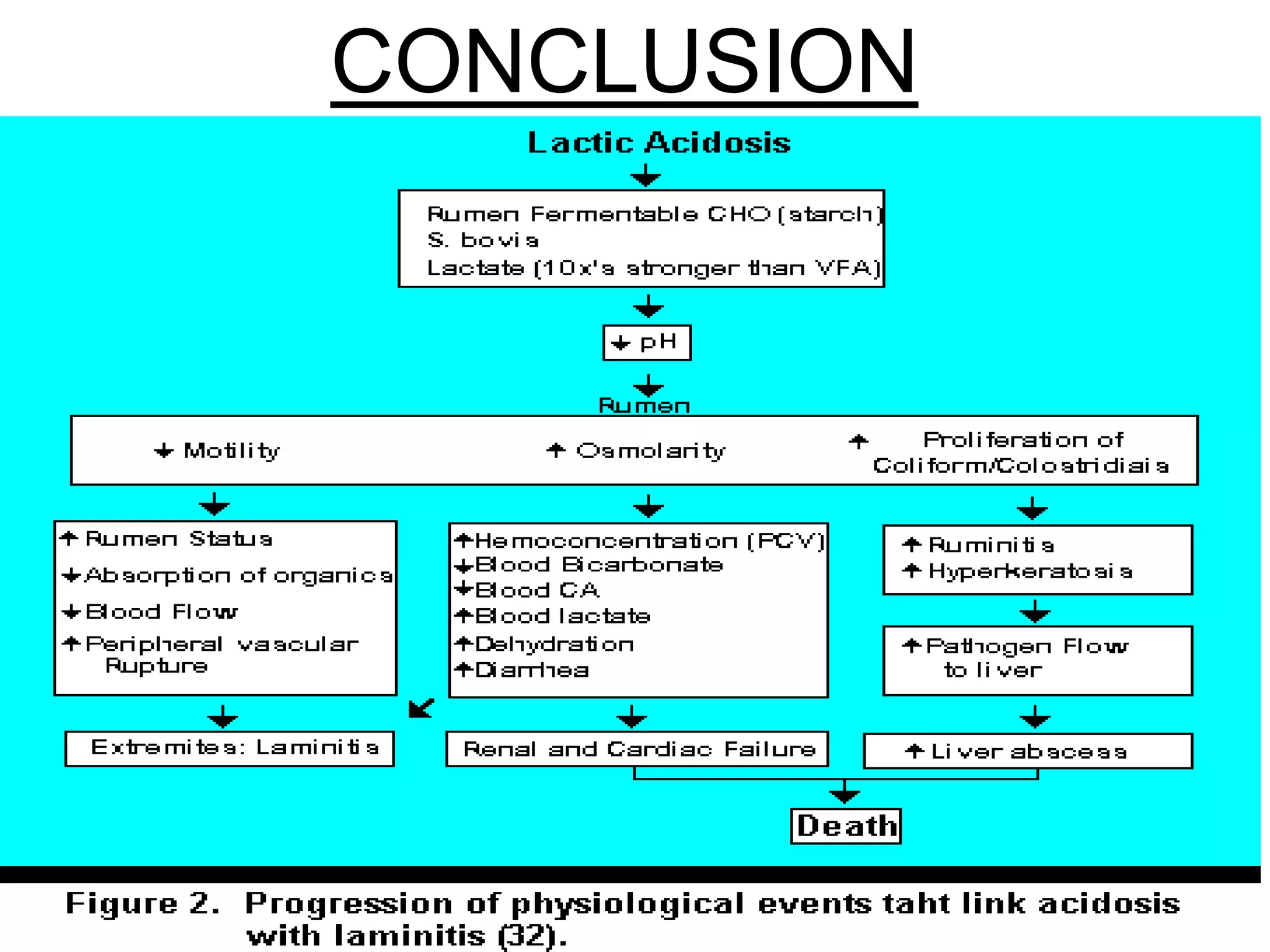 Presetation on rumen impaction lactic acidosis final osr | PPTX