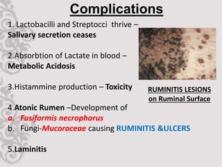 Presetation on rumen impaction lactic acidosis final osr | PPTX