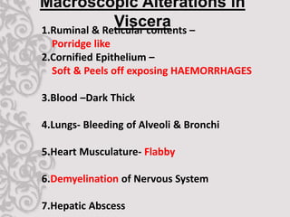 Presetation on rumen impaction lactic acidosis final osr | PPTX