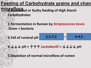 Presetation on rumen impaction lactic acidosis final osr | PPTX