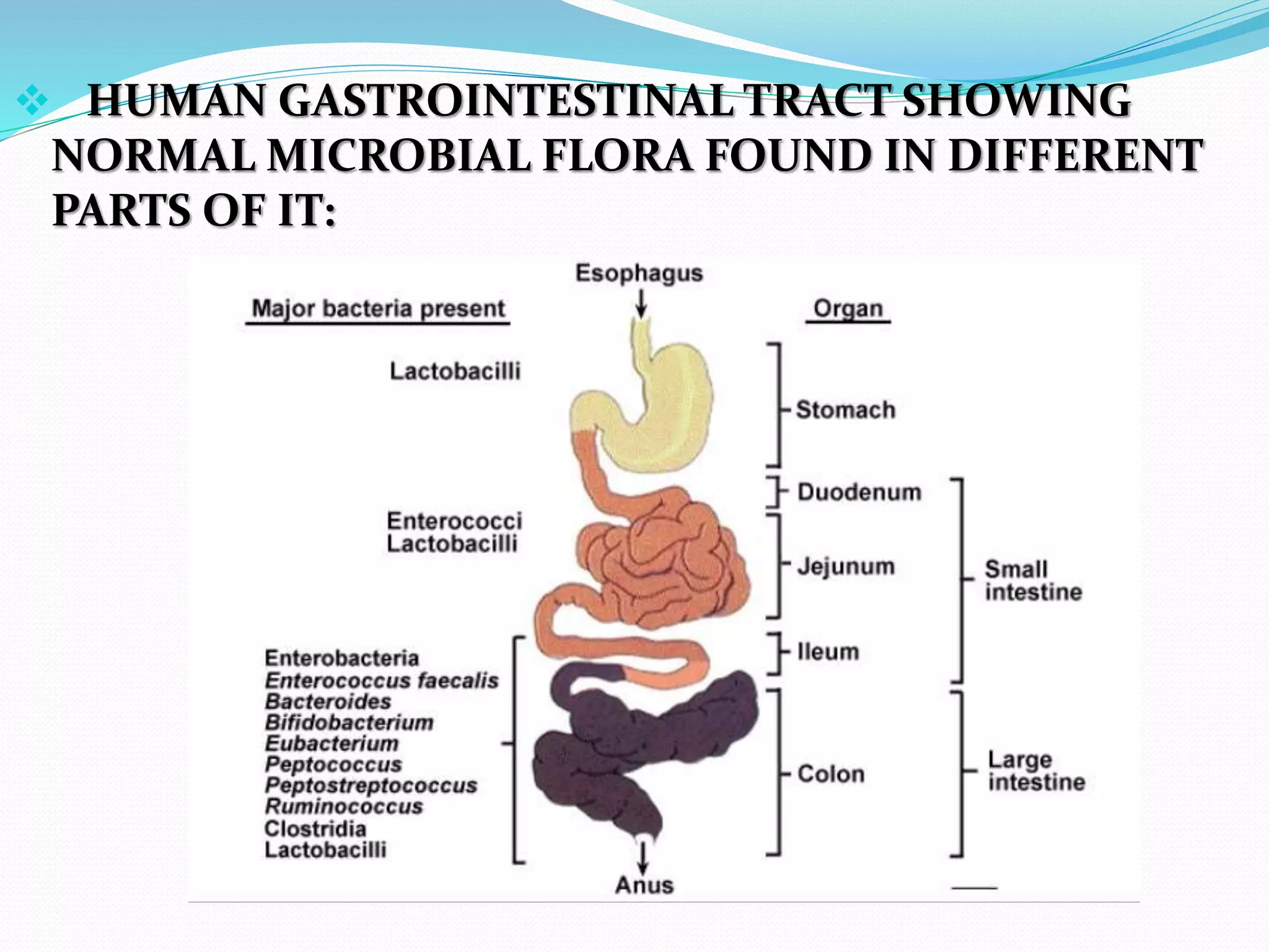 host parasite relationship | PPTX