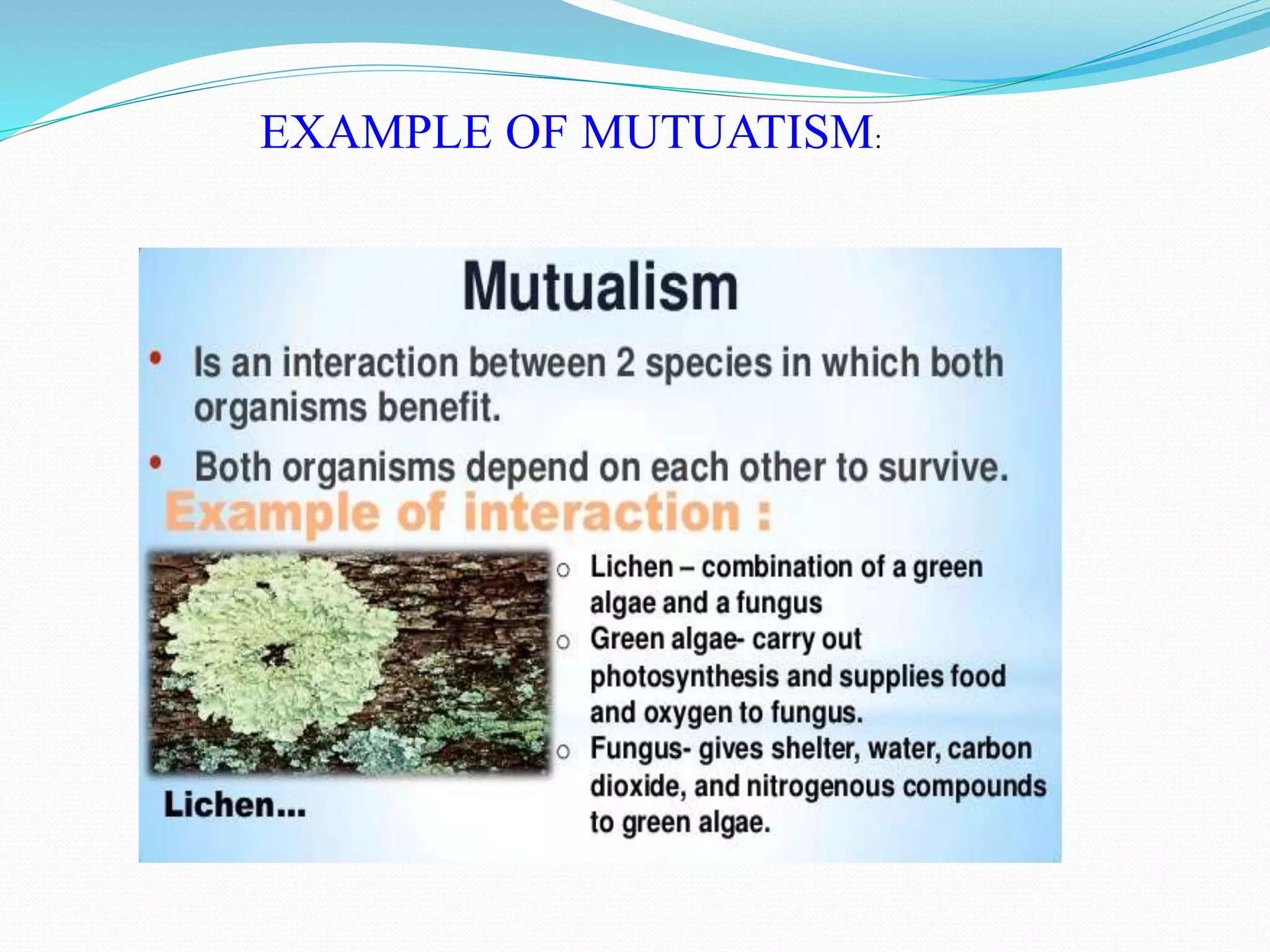 host parasite relationship | PPTX