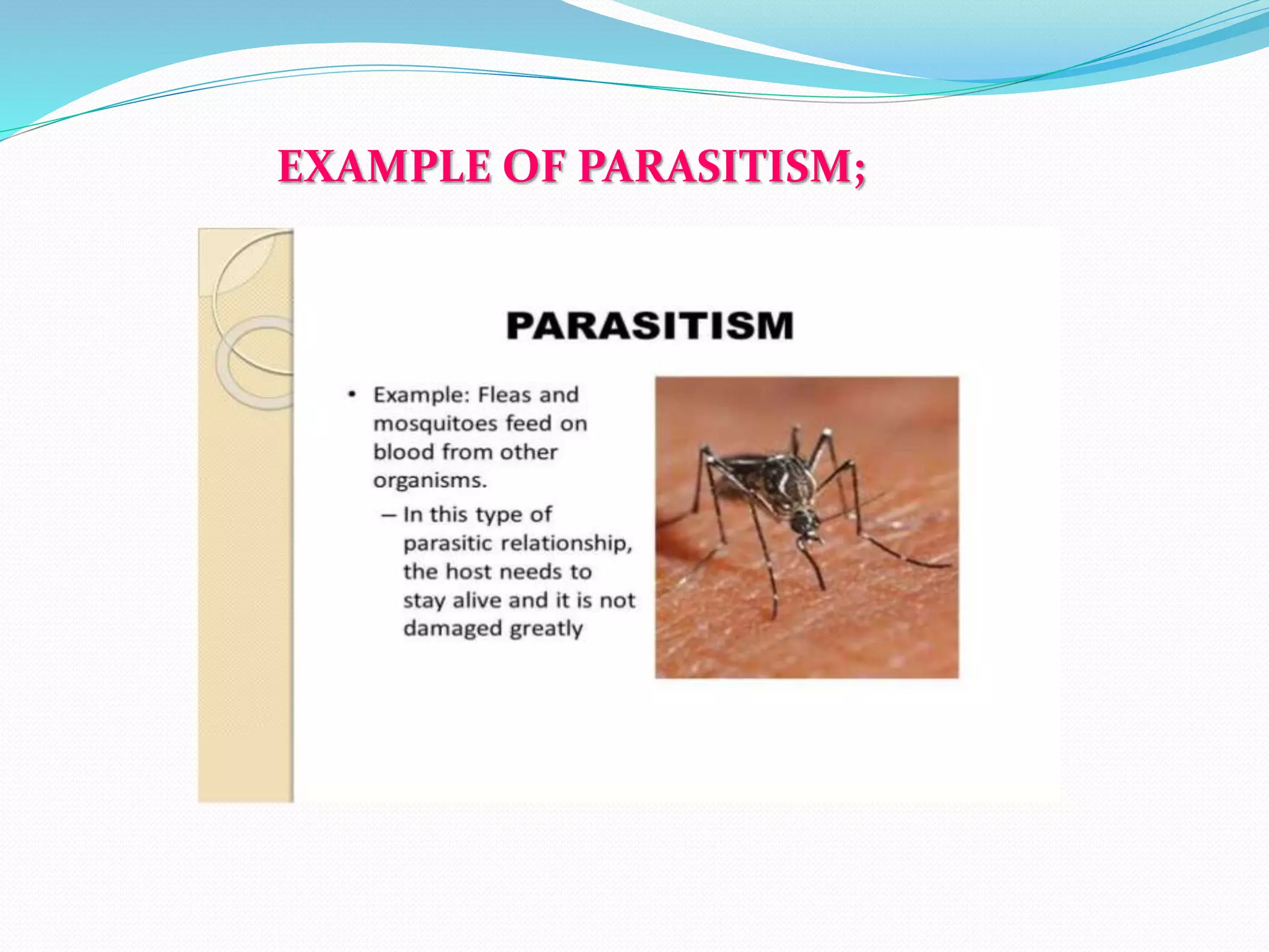 host parasite relationship | PPTX