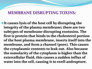 host parasite relationship | PPTX