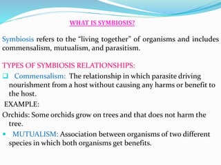 host parasite relationship | PPTX
