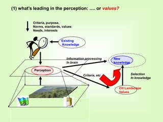 Back to basics - cultural landscape analysis from an informational ...