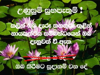 President presantation (sinhala) | PPT