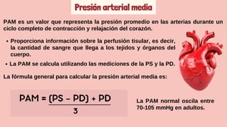 Circulación: regulación de la PA , PDF.. | PDF