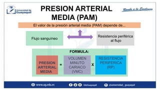 PRESIÓN ARTERIAL - VOLUMEN MINUTO- CEDEÑO PLUAS GABRIELA.pptx