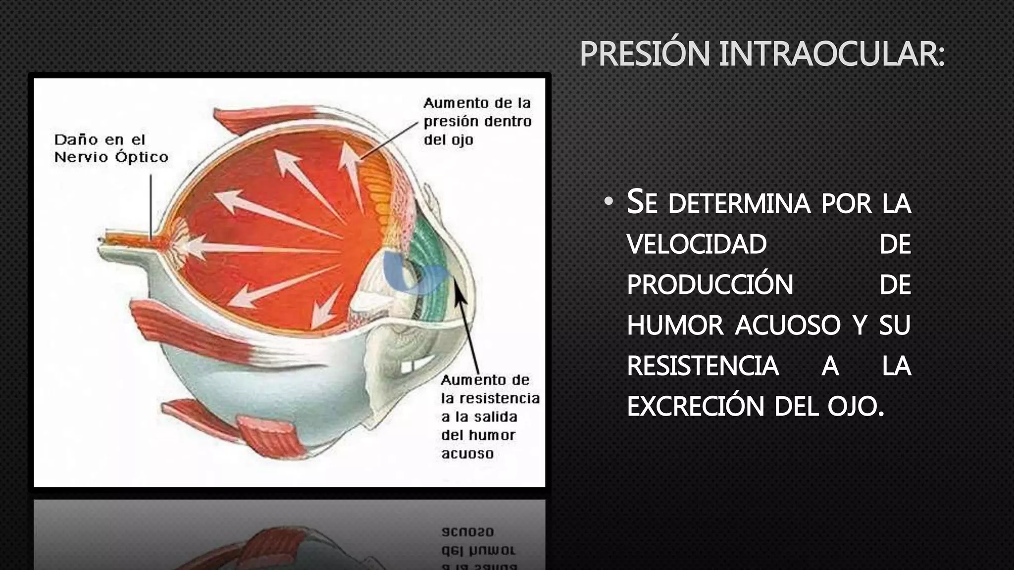 Presión intraocular | PPTX | Eye and Vision Conditions | Diseases and ...