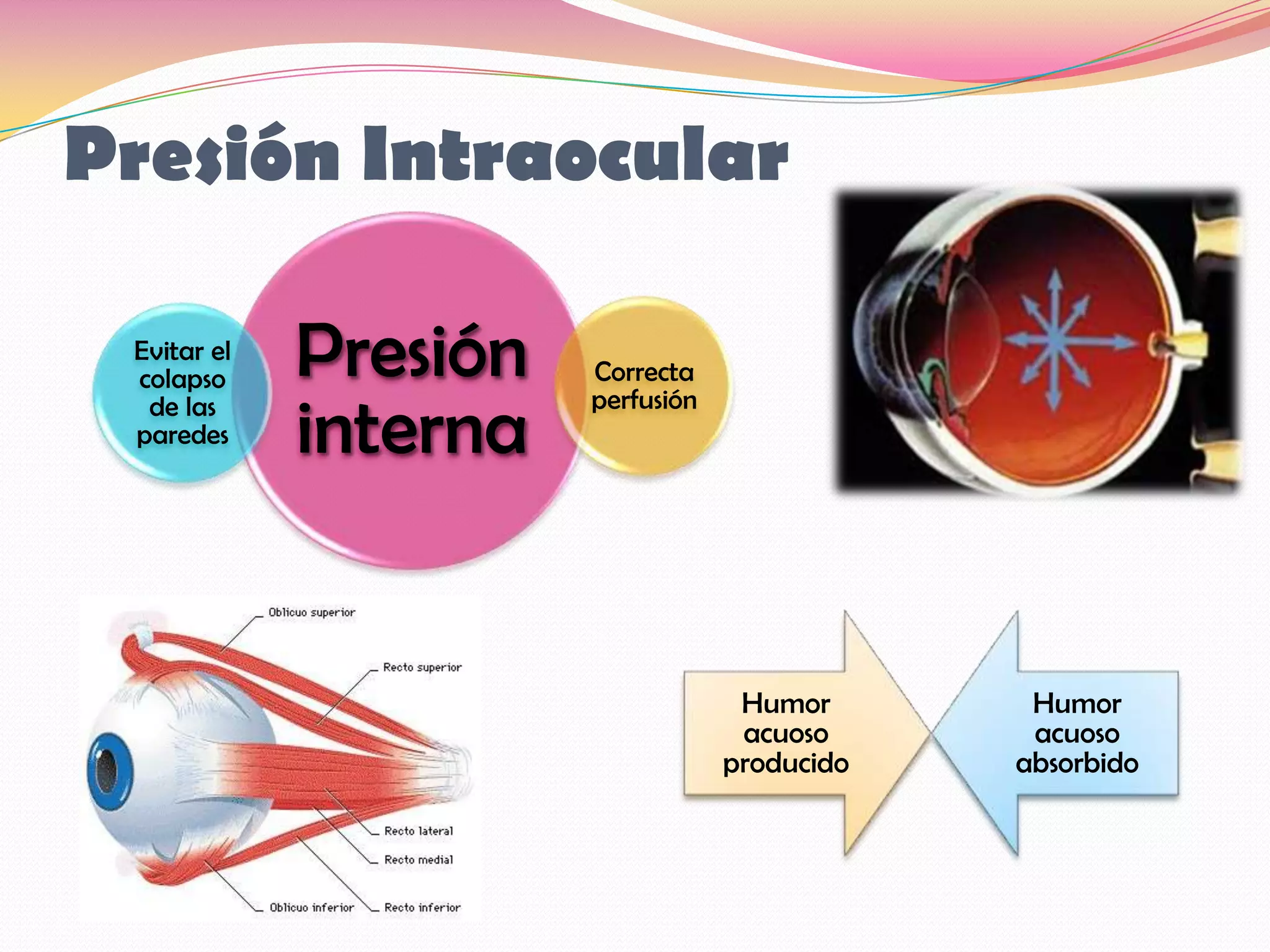 Presión intraocular y glaucoma | PPTX