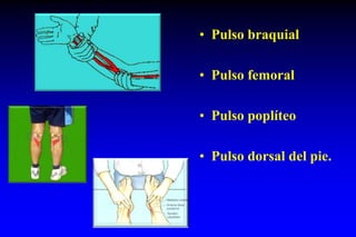 Presion arterial | PPTX