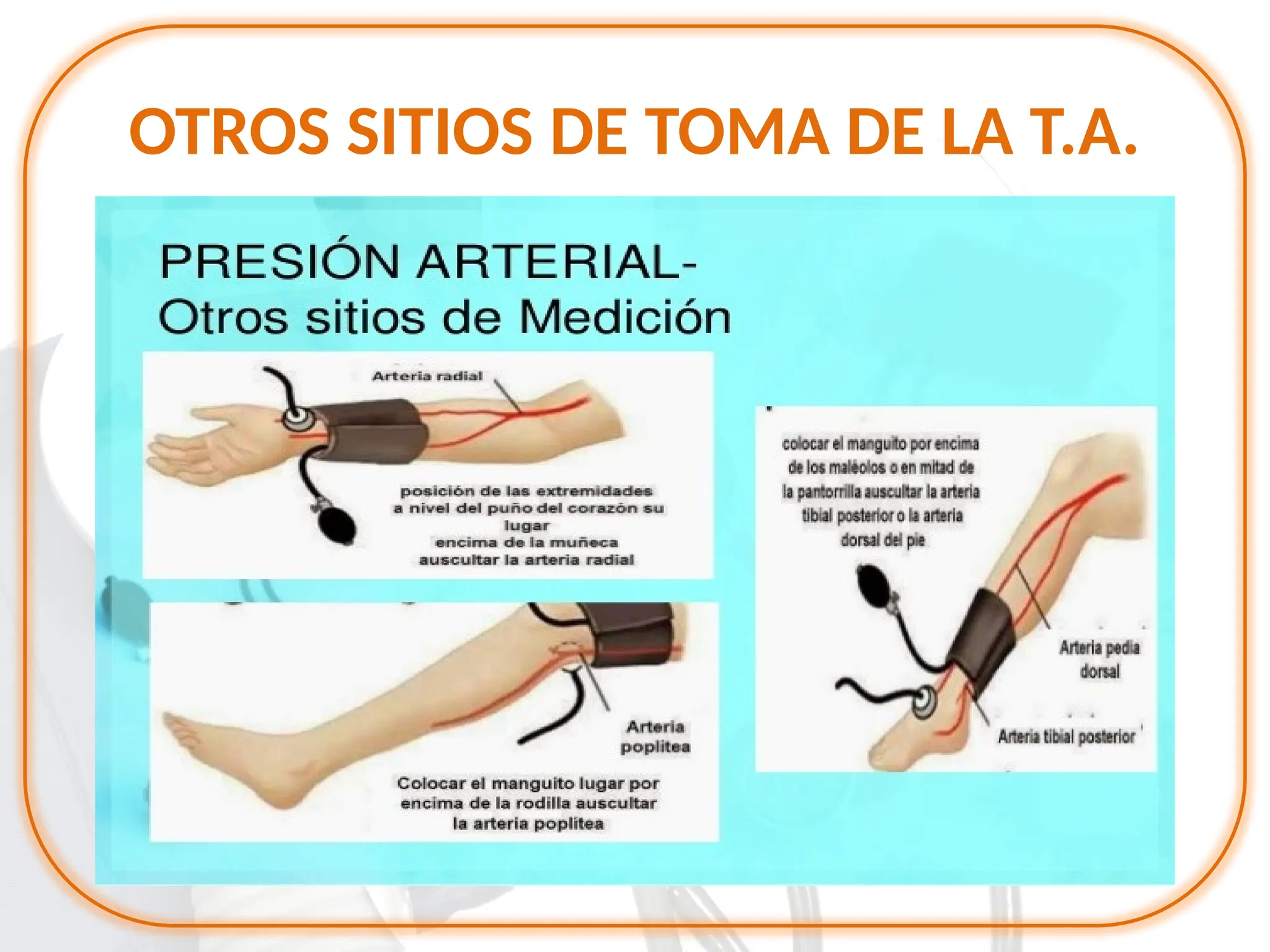 presion arterial.pptxvvvvvvvvvvvvvvvvvvvvvvvvvvvvvvv | PPTX