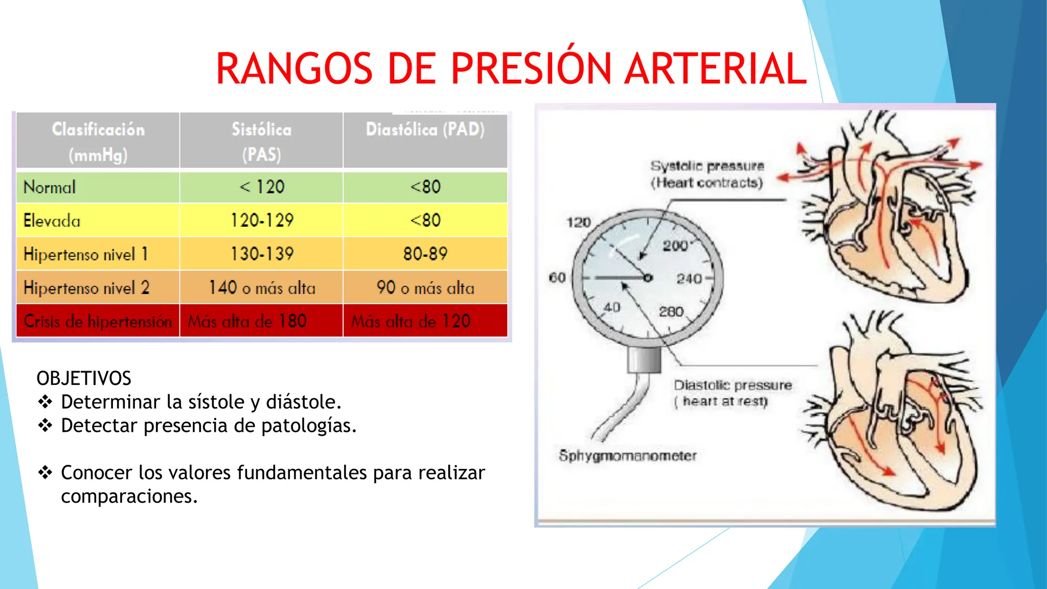 RANGOS DE PRESIÓN PRESIÓN ARTERIAL EN CADA PACIENTE | PDF