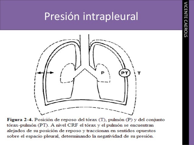Presiones pulomnares. Fisioterapeuta Vicente Caerols